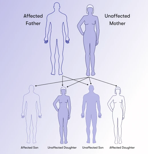 Hereditary Cancer Tests - Galaxi Genomics